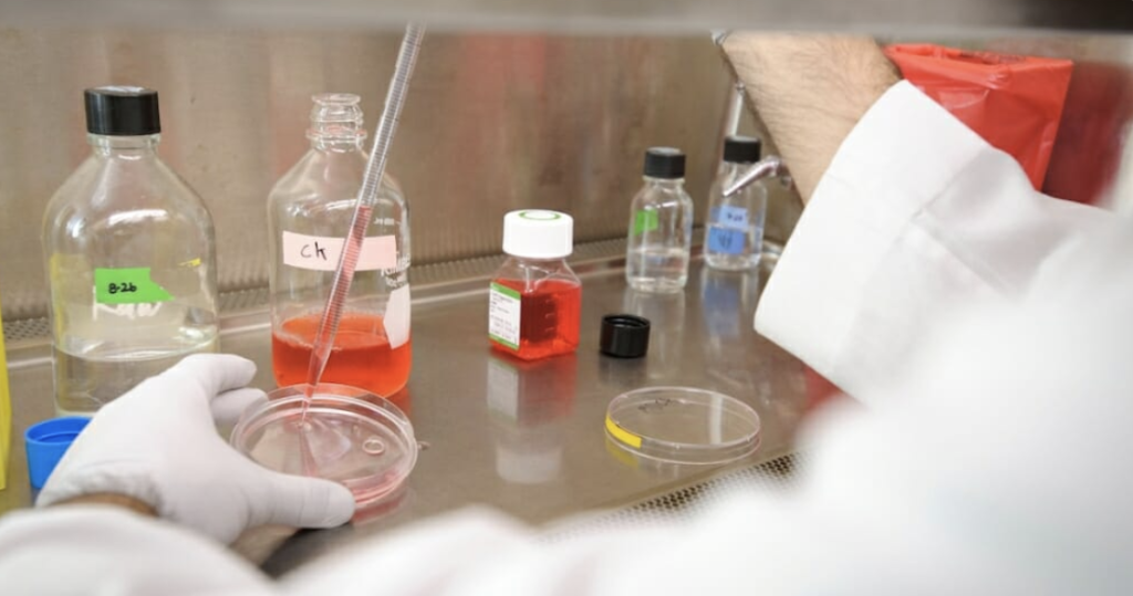 UW–Madison, FluGen, Bharat Biotech to develop CoroFlu, a coronavirus ...